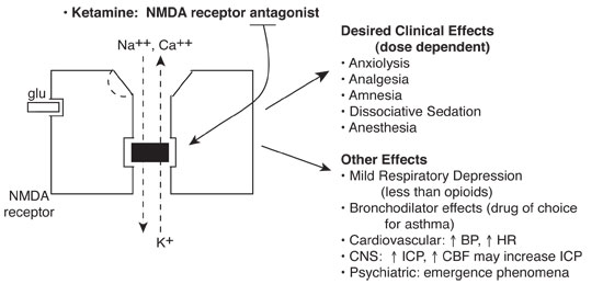 Sedatives – Department of Pediatrics – UW–Madison